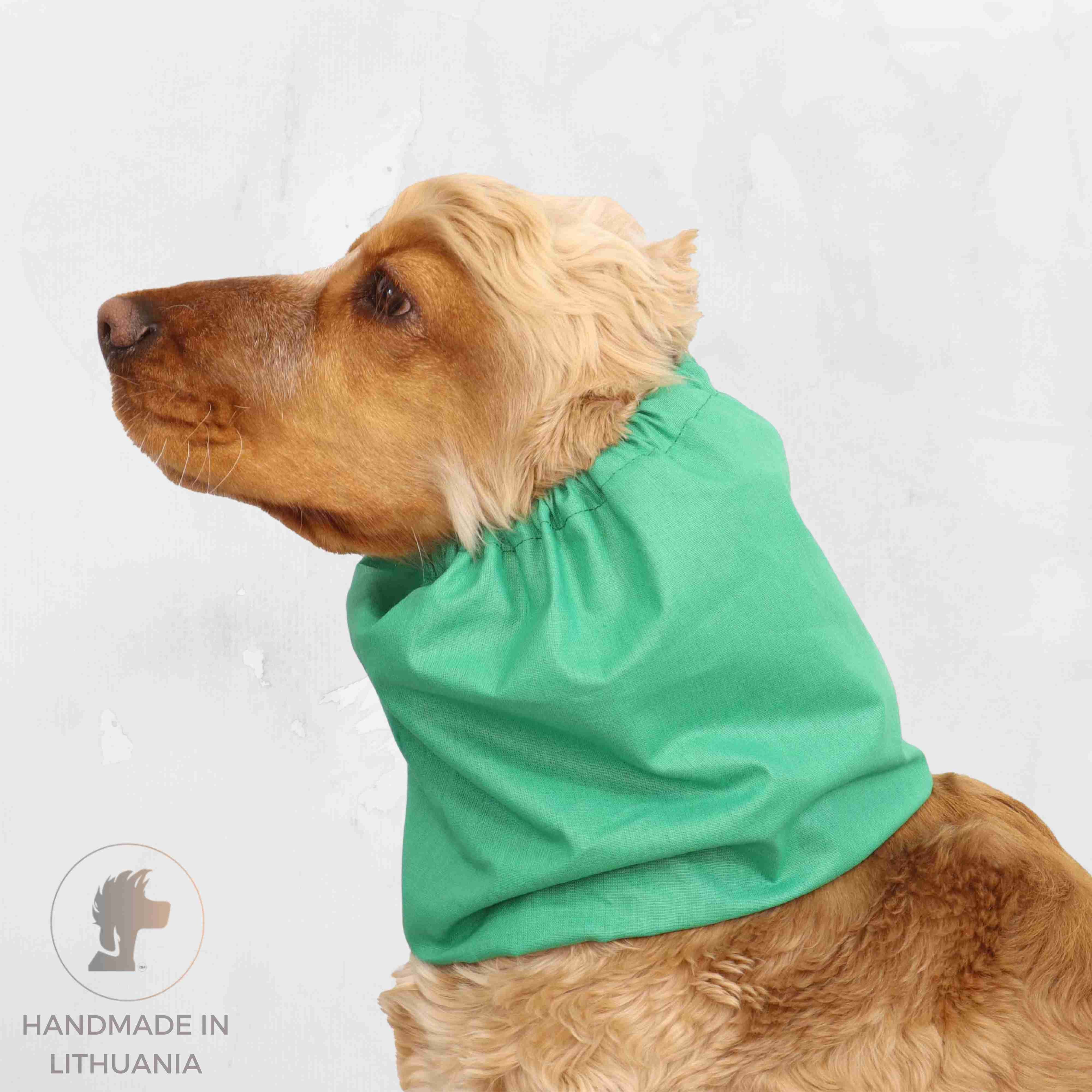 Cotton Dog Snood | Green | Distinguish Me