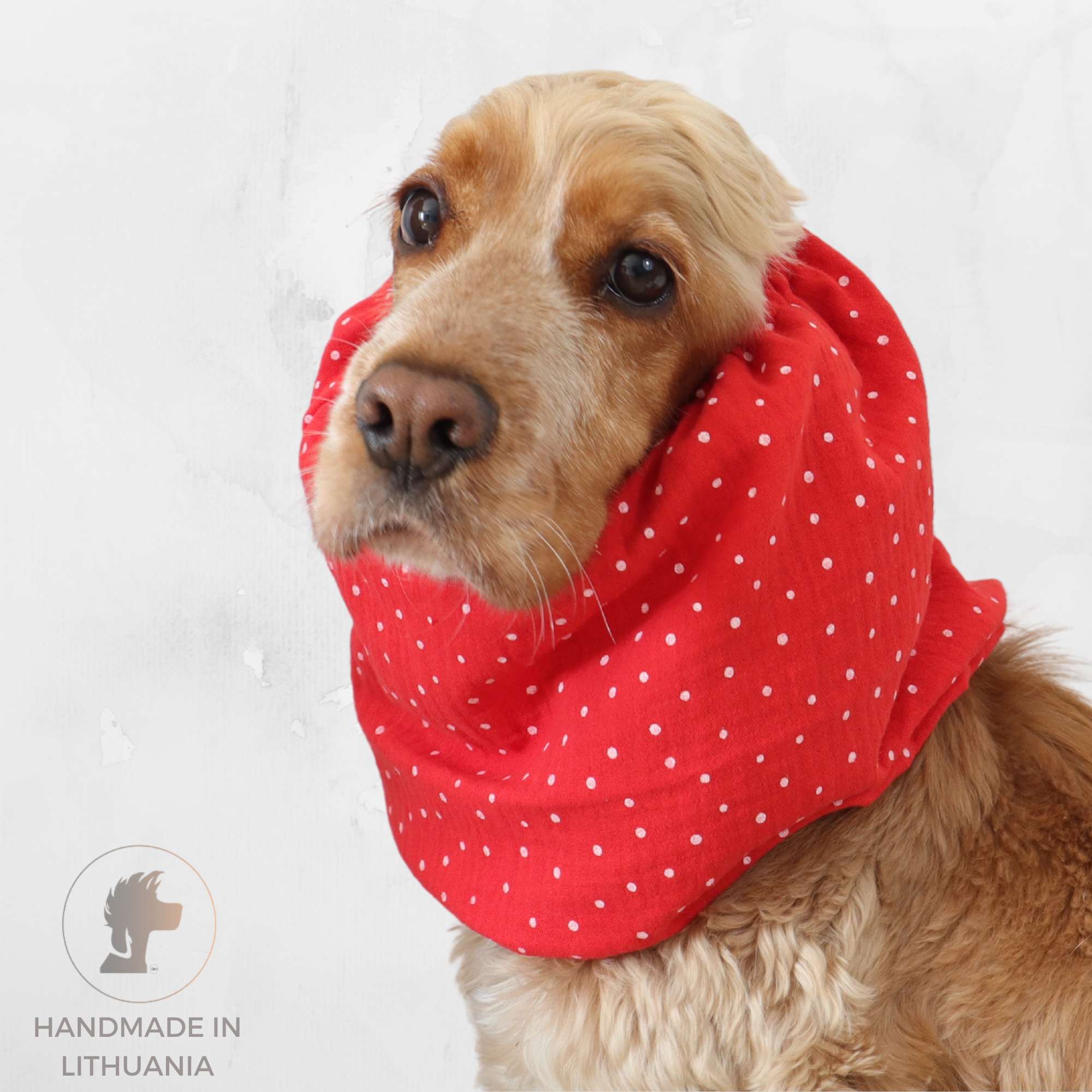 Cotton (Muslin) Dog Snood | Dots in Red | Distinguish Me