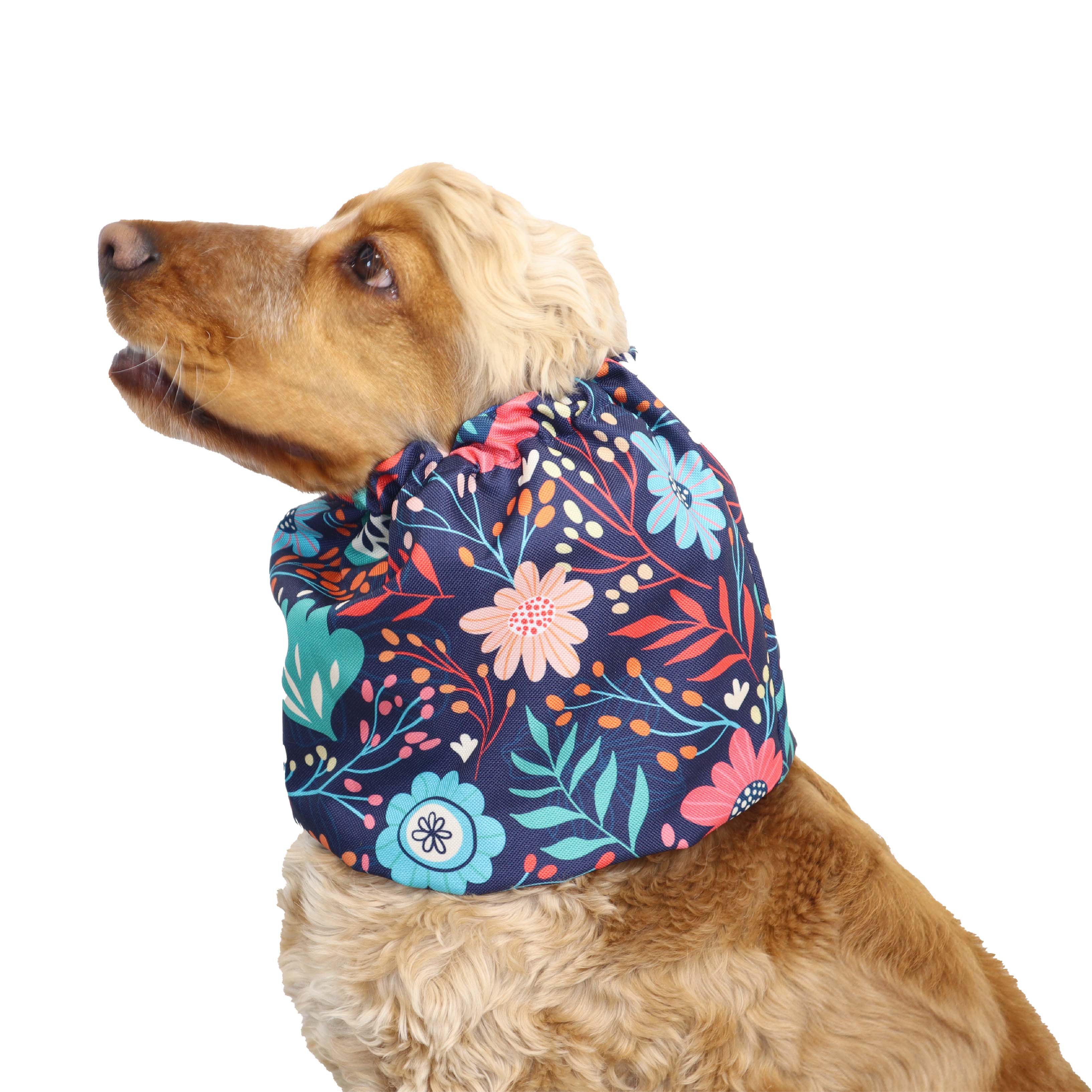 Waterproof Daily Dog Snood | Birds In The Morning | Distinguish Me